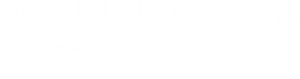STEMEX - Castle Quarter Norwich