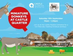 Miniature Donkeys at Castle Quarter - Castle Quarter Norwich